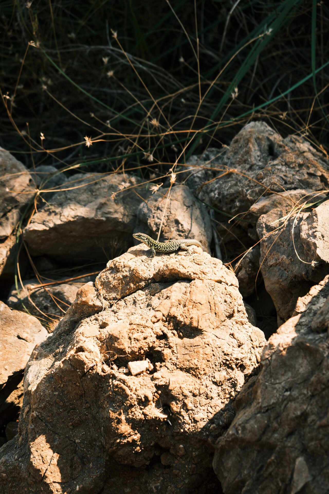 A Guide to Zingaro Nature Reserve in Sicily - JAMIECHANCETRAVELS